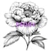 5 PEONY TATTOO PATTERNS - Etsy