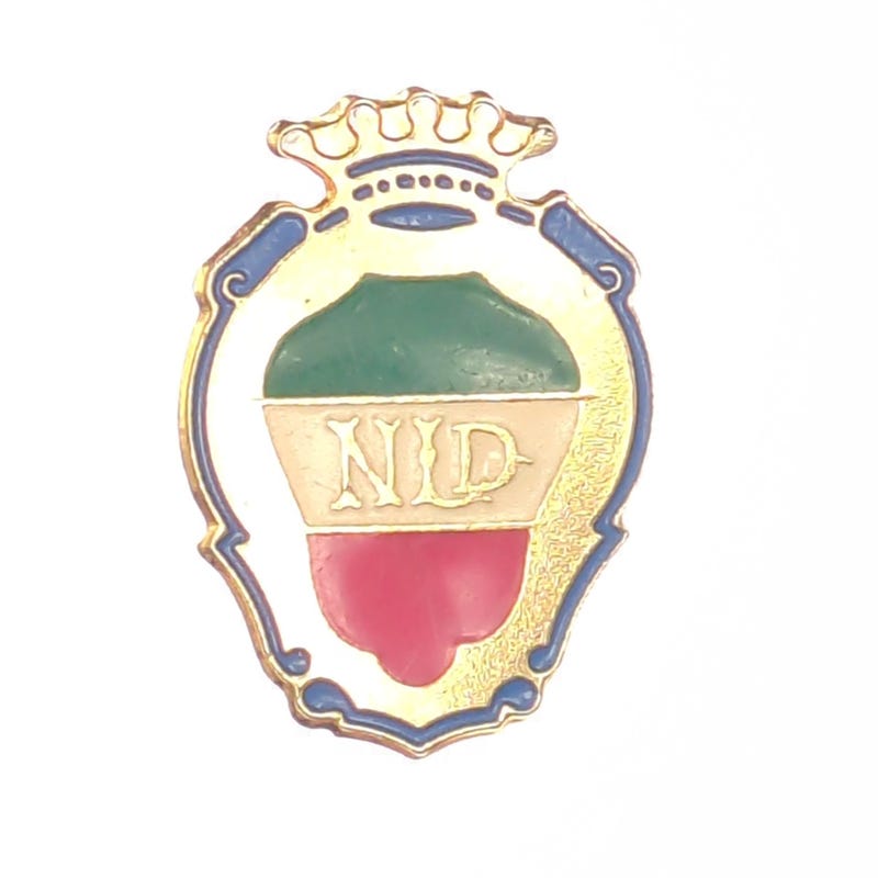 Notre Dame Pin - Etsy