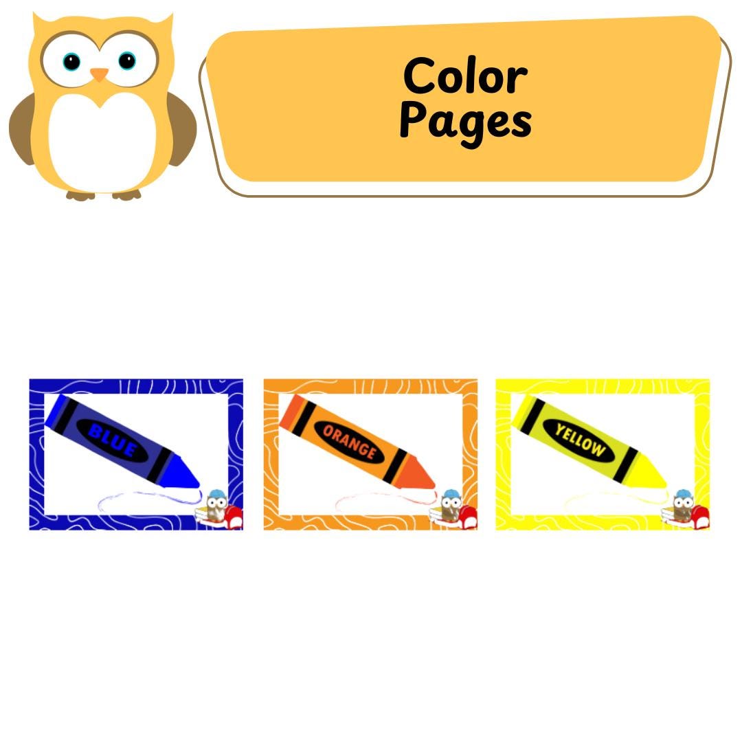 Owl-themed Classroom Decor | Alphabet, Numbers, Months, Days & More ...