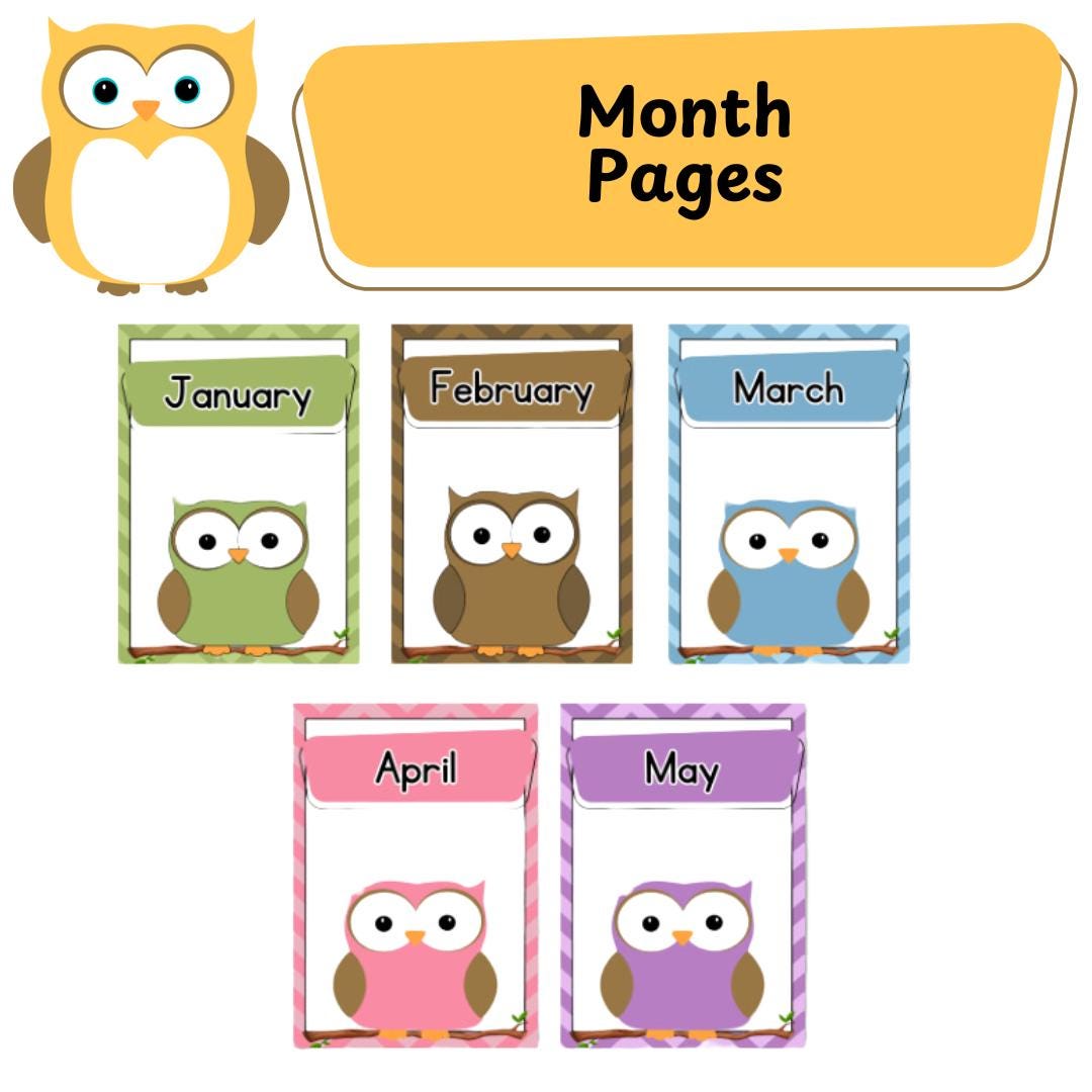 Owl-themed Classroom Decor | Alphabet, Numbers, Months, Days & More ...