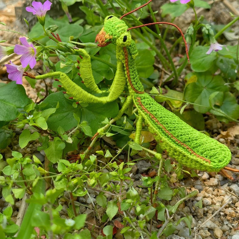 Crochet Praying Mantis, Insect Decoration, Realistic Handmade Praying ...
