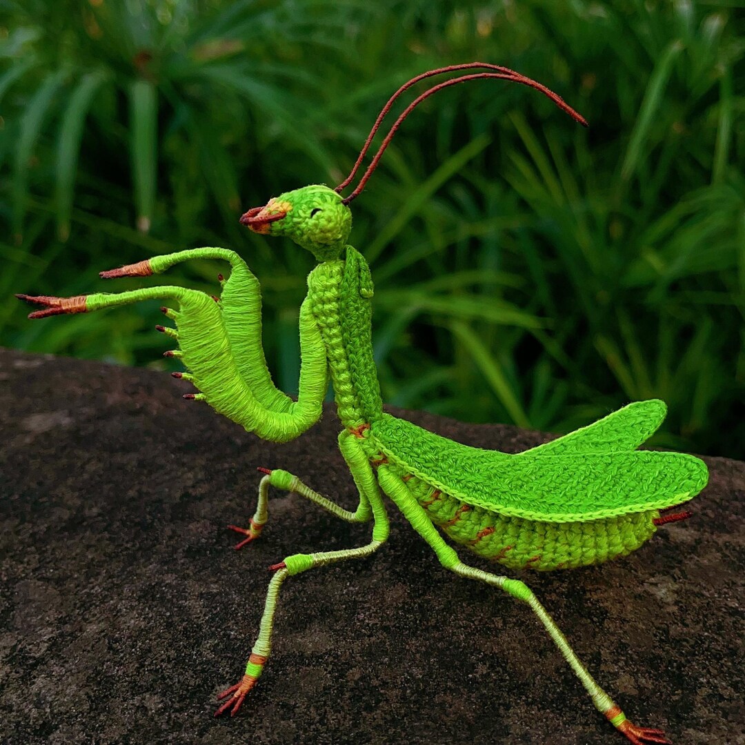 Crochet Praying Mantis, Insect Decoration, Realistic Handmade Praying ...