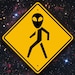 Alien Pedestrian Crossing Sign UFO Watching Space Travel Area 51 ...