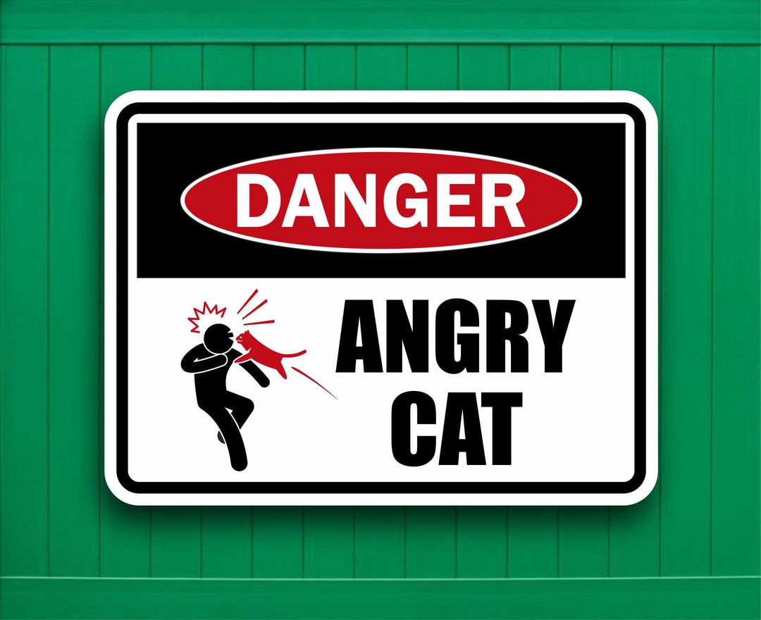 ANGRY CAT - Dangerous Kitty Sign - Funny Animal Warning - Unique Yard ...