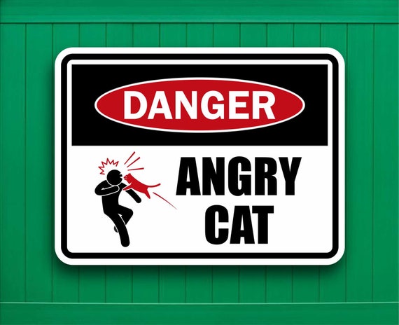 ANGRY CAT Dangerous Kitty Sign Funny Animal Warning | Etsy