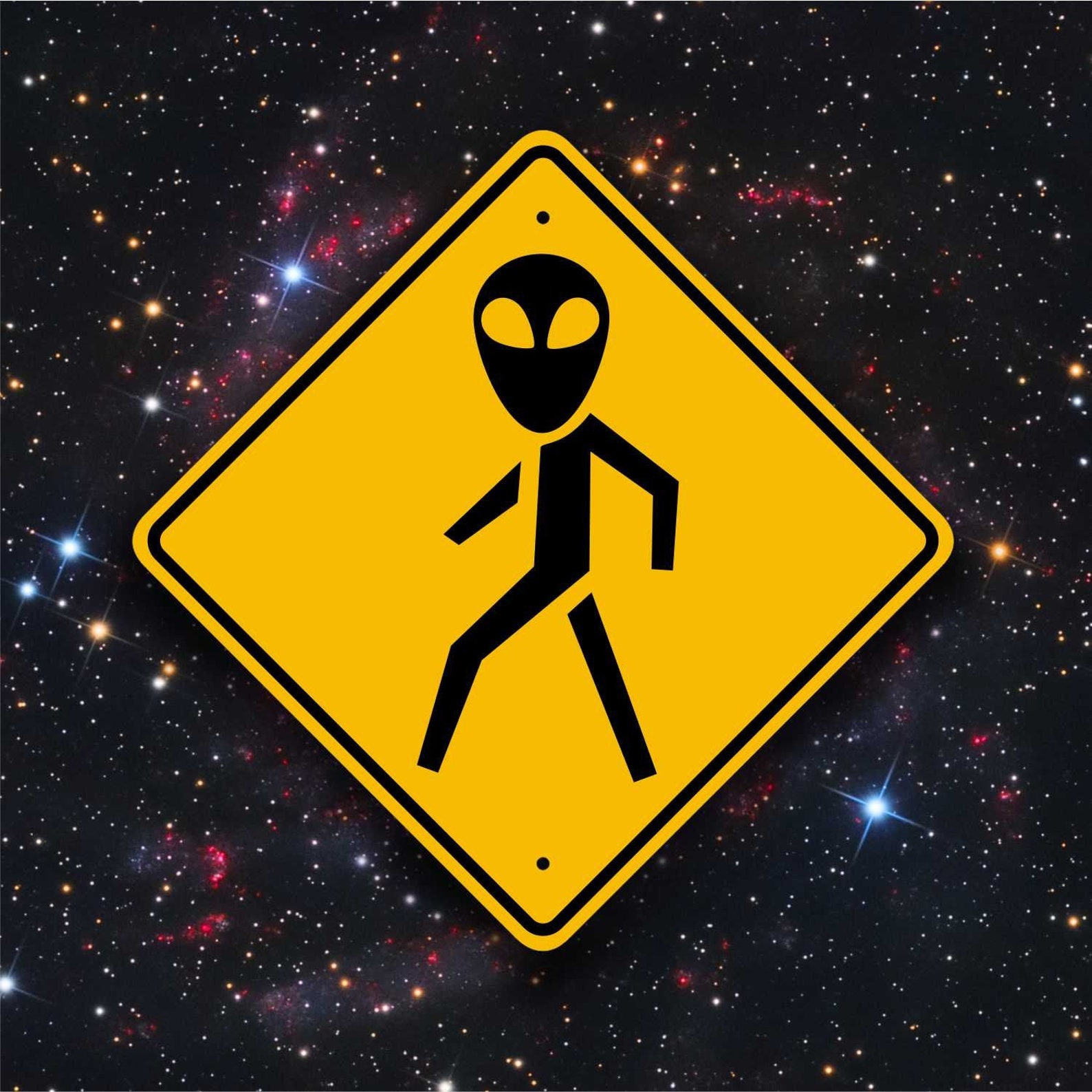 Alien Pedestrian Crossing Sign UFO Watching Space Travel | Etsy