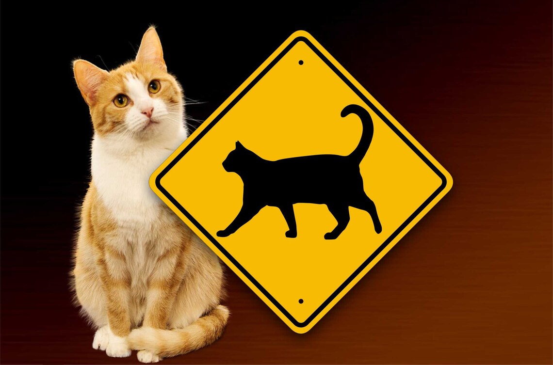 Cat Crossing Sign - Feline Safety Placard - Mouse Warning - Gift for ...