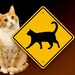 Cat Crossing Sign Feline Safety Placard Mouse Warning Gift for Kitty ...