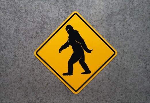 BIGFOOT CROSSING Road Sign / Aluminum Yard Art Sasquatch | Etsy