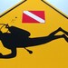 Scuba Sign Aluminum Diver Down Warning Underwater - Etsy