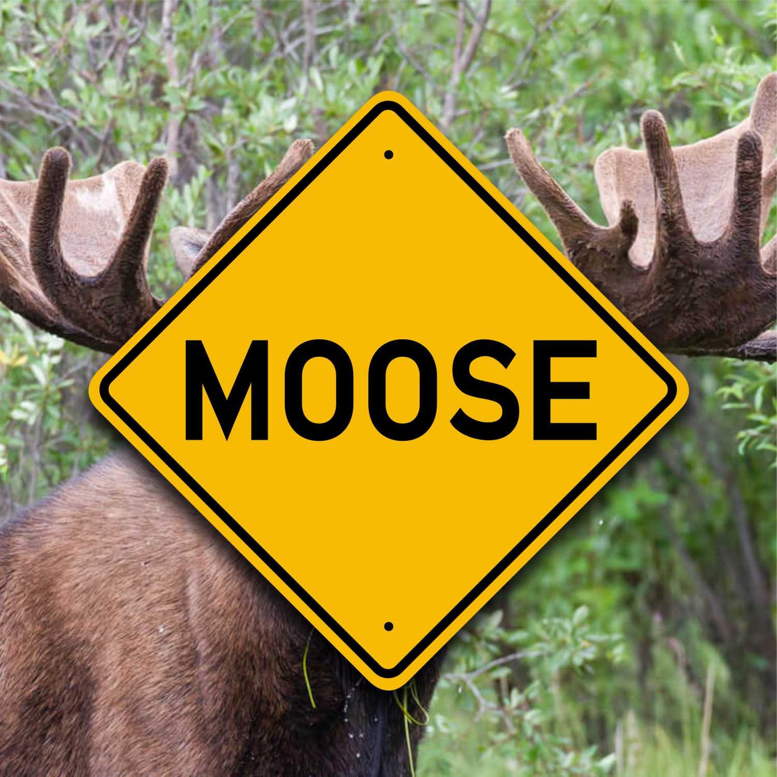 Vermont Moose Sign Highway Warning Sign Replica Fun Country Yard Decor ...