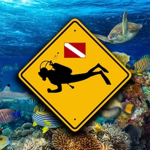 Scuba Sign - Aluminum - Diver Down Warning - Underwater Adventure ...