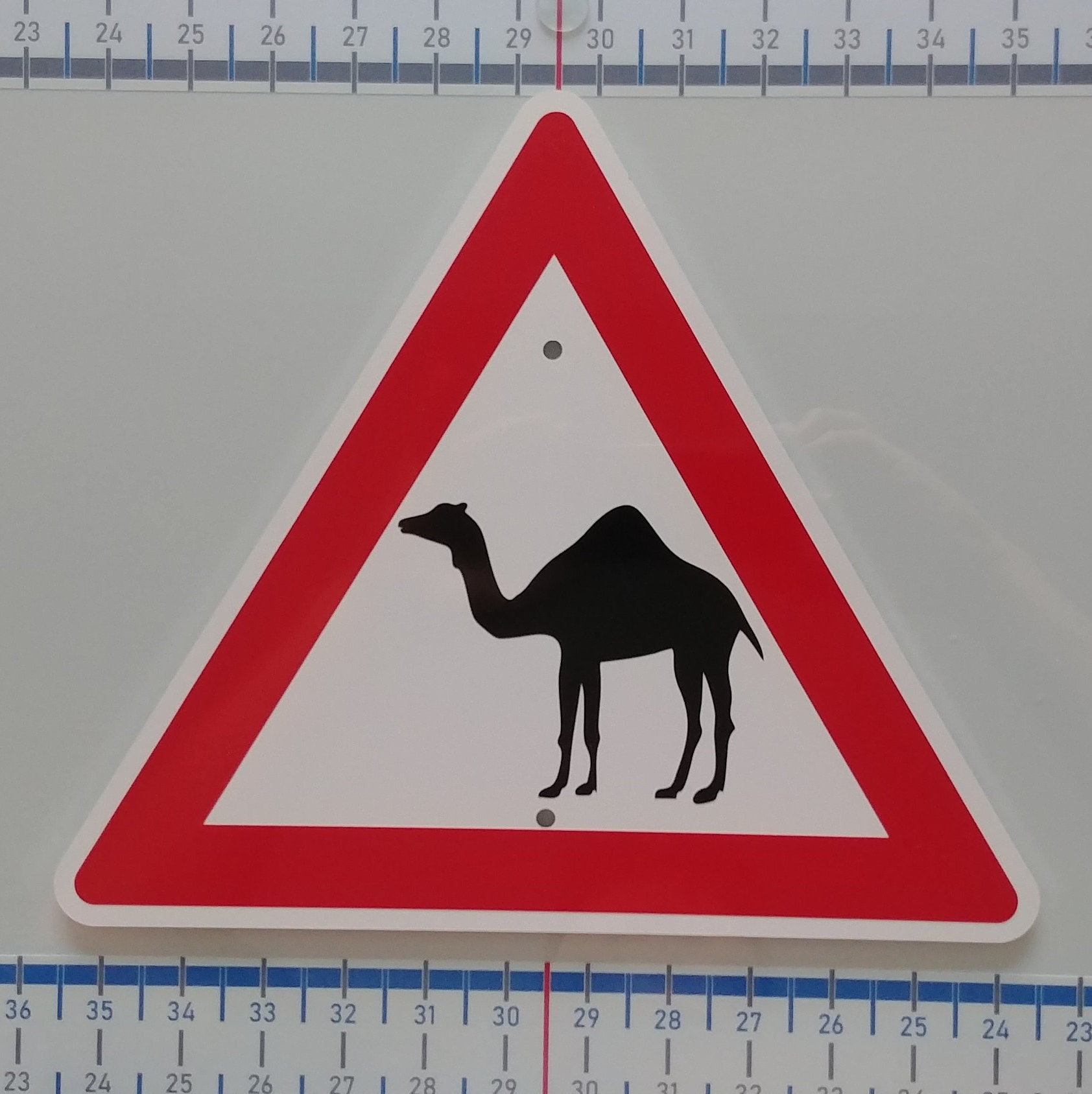 Camel Sign Camel Warning Sign Funny Camel Decor Sign Warning Sign Camel ...