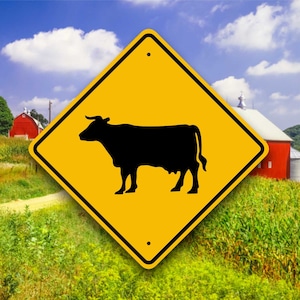COW CROSSING SIGN - Dairy Barn Road Placard - Farm Safety Warning ...