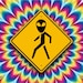 Alien Pedestrian Crossing Sign UFO Watching Space Travel Area 51 ...