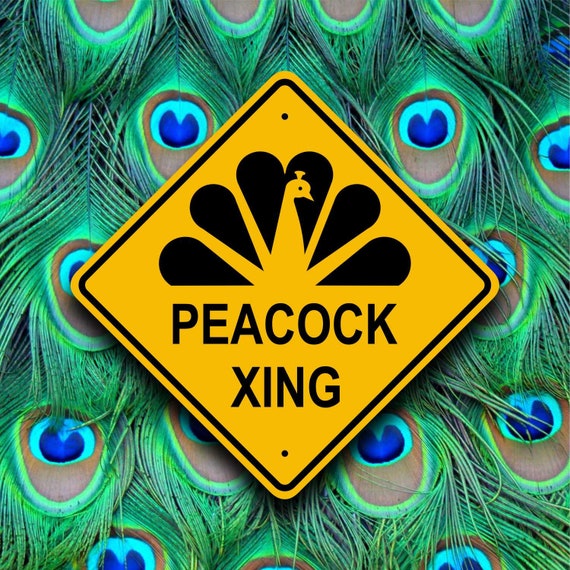 Peacock Sign Peacock Symbol Stock Illustration Download Image Now