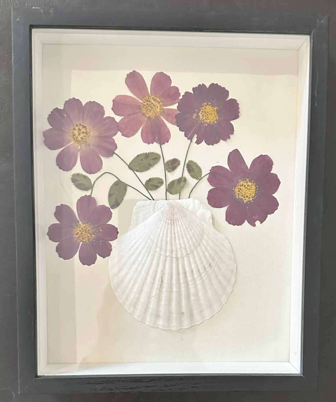 Handmade Shell Vase Shadow Box Wall Hanging - Etsy