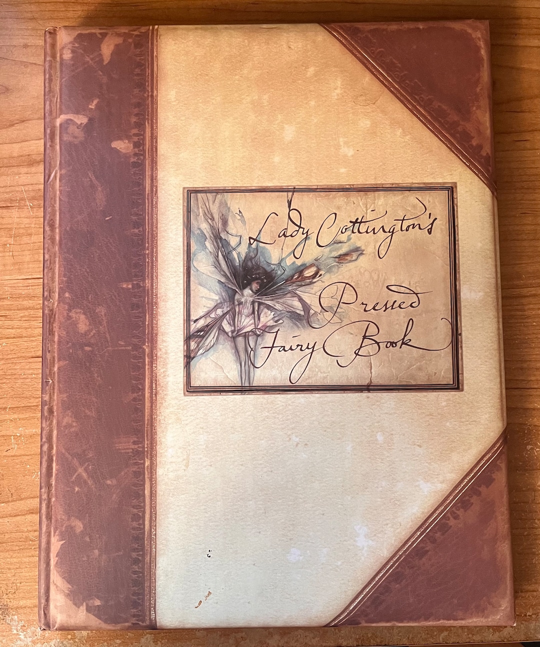 Lady Caddington’s Pressed Ferry Book - Etsy