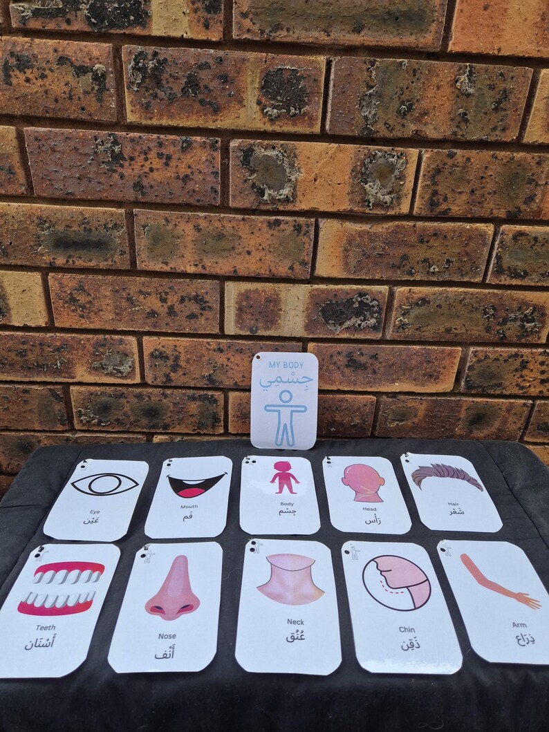 32 My Body- Flashcards- English and Arabic- DOWNLOADABLE PDF - Etsy
