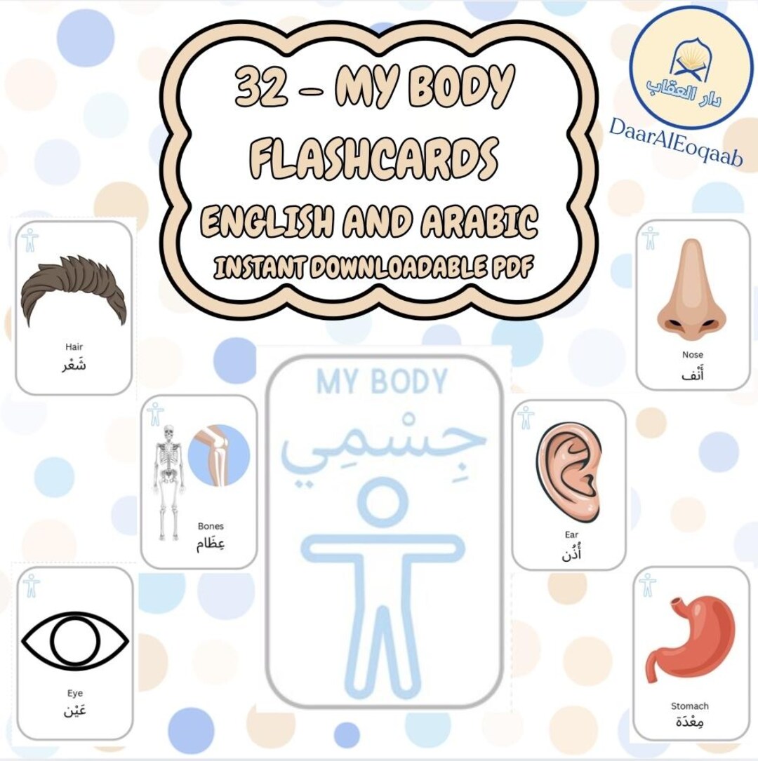 32 My Body- Flashcards- English and Arabic- DOWNLOADABLE PDF - Etsy