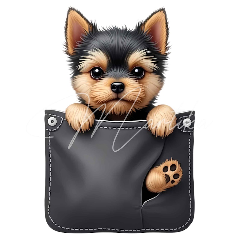 Cute Puppy PNG, Pocket Dogs Clipart, Cartoon Dog Designs, Dog Lover PNG ...