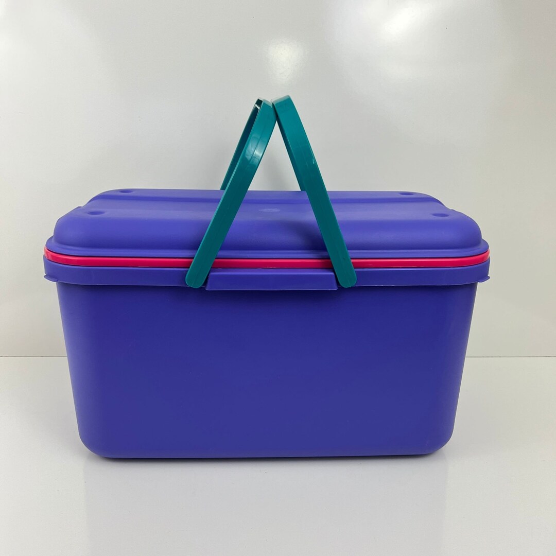 Eagle Craftstor Purple Teal and Pink Sewing Crafts Storage Container ...