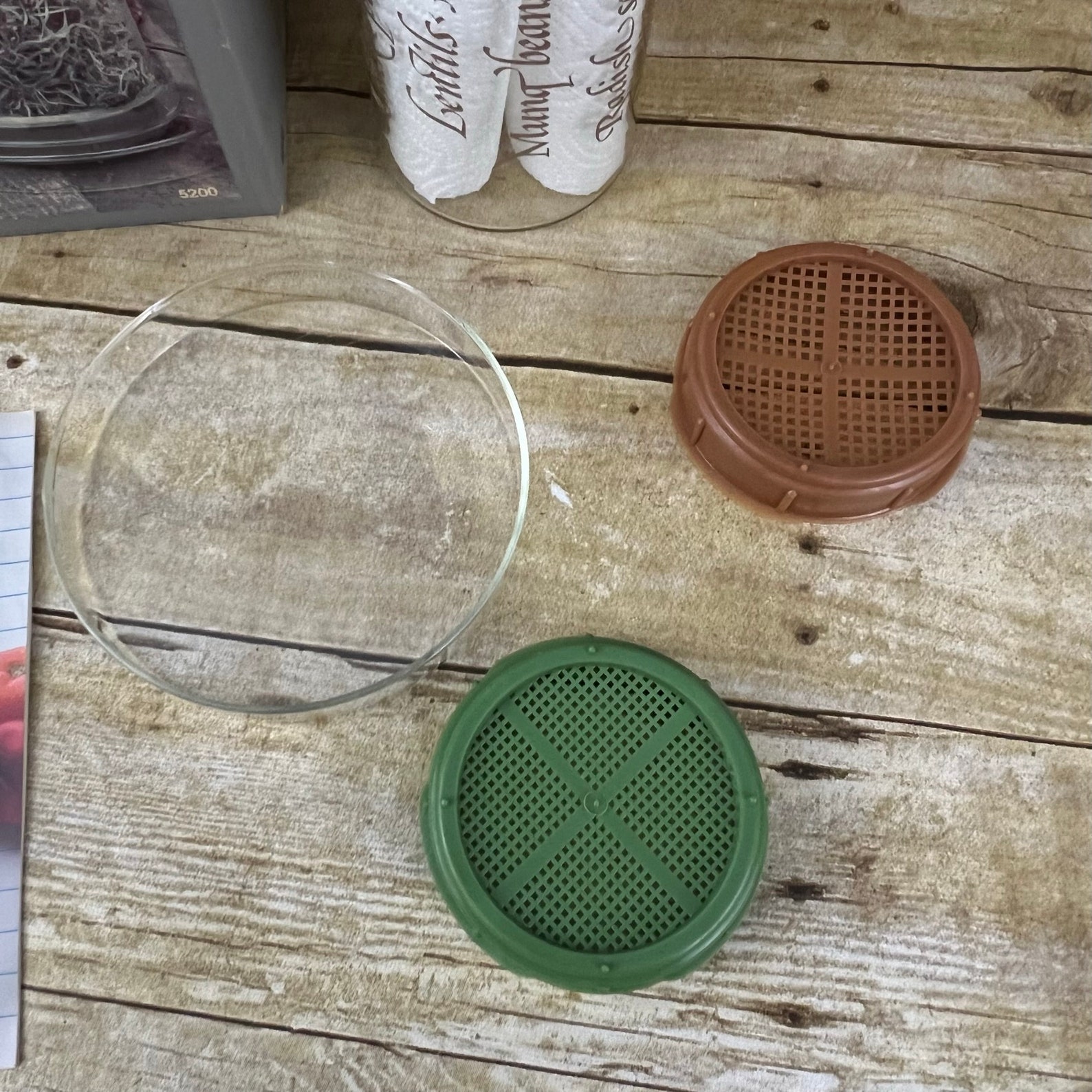 Corning SPROUT FARM Sprouter Set Jar Screens Drainer Dish - Etsy