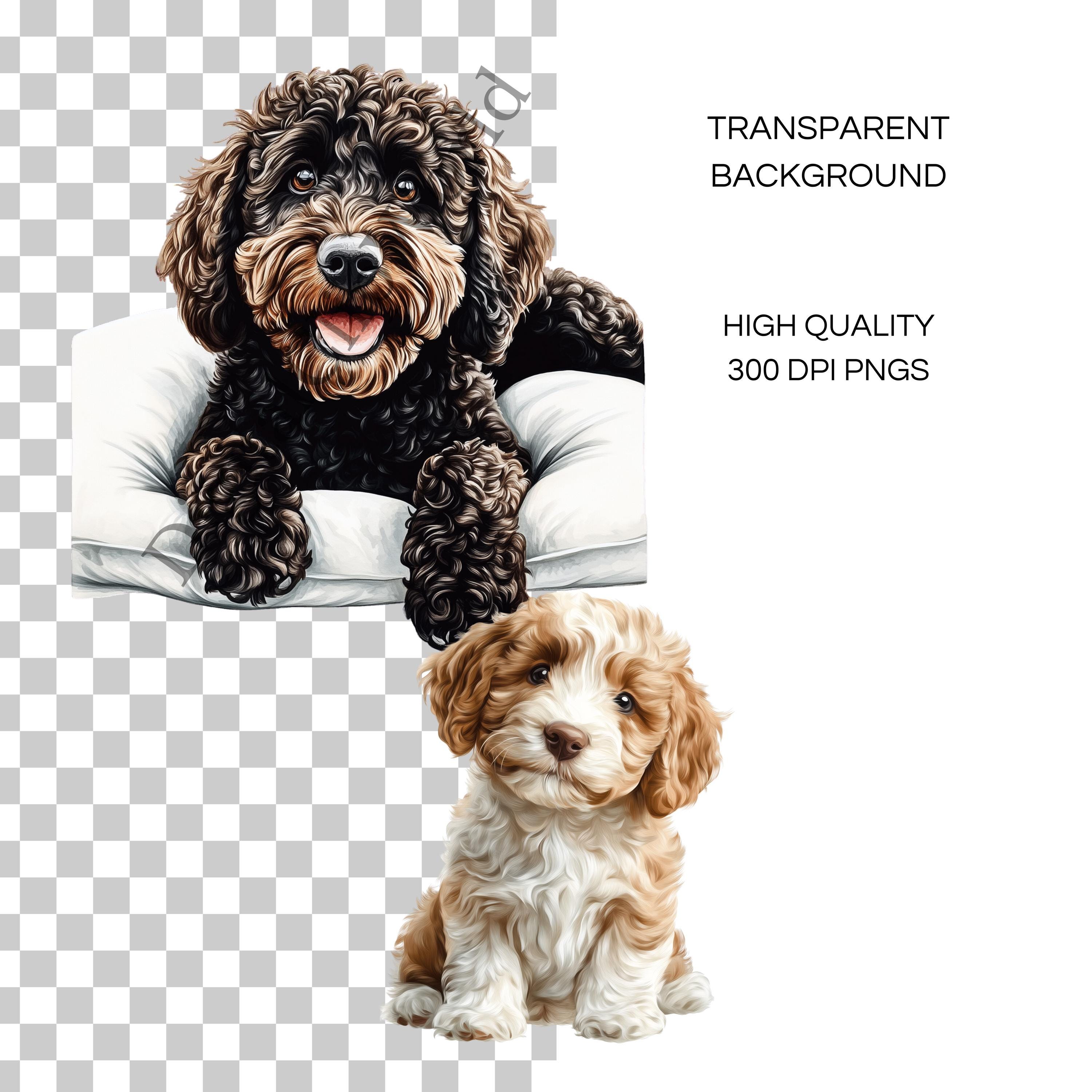 Labradoodle Clipart | Labradoodle PNG | Watercolor Labradoodle ...