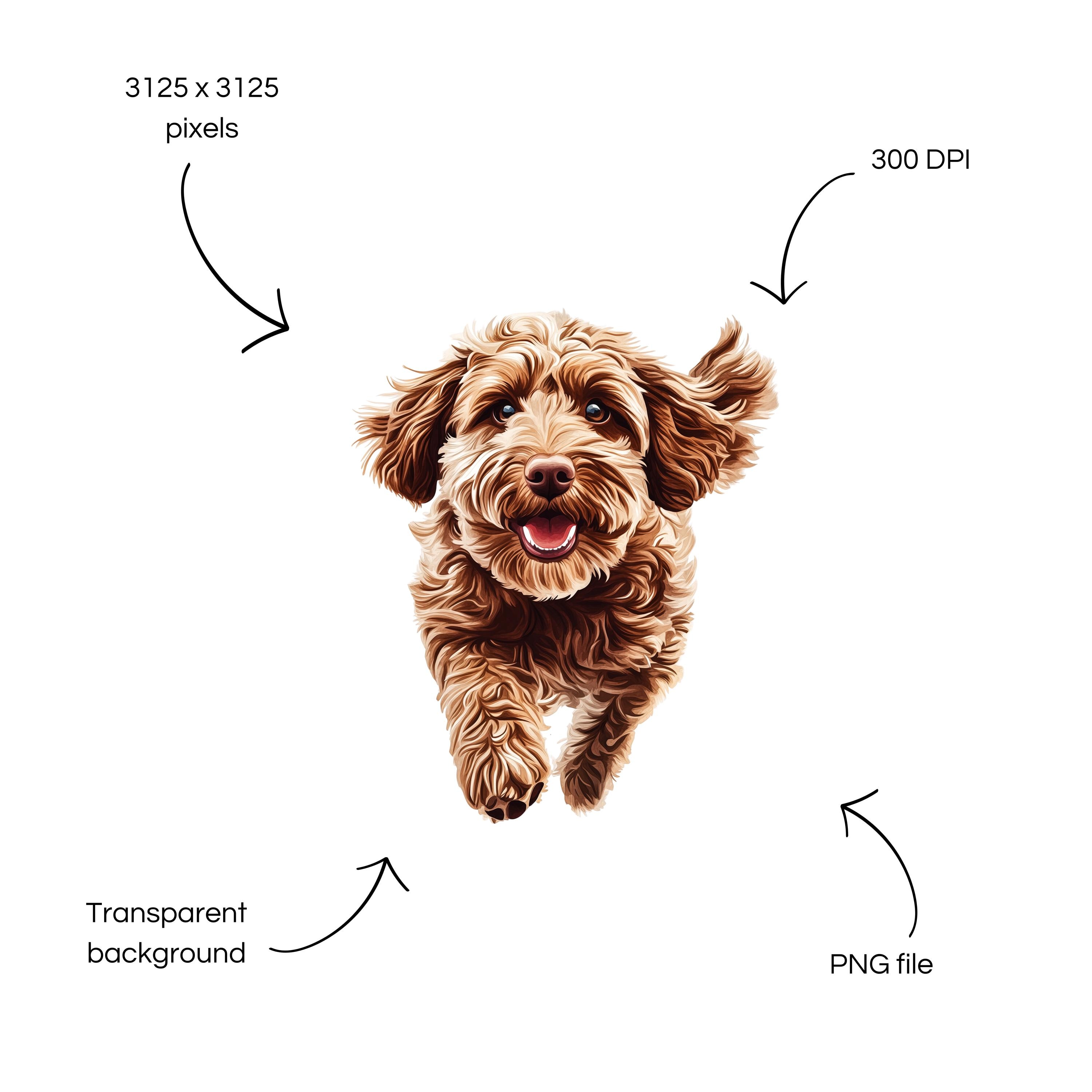 Labradoodle Clipart | Labradoodle PNG | Watercolor Labradoodle ...