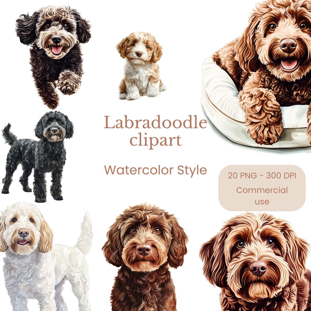 Labradoodle Clipart | Labradoodle PNG | Watercolor Labradoodle ...