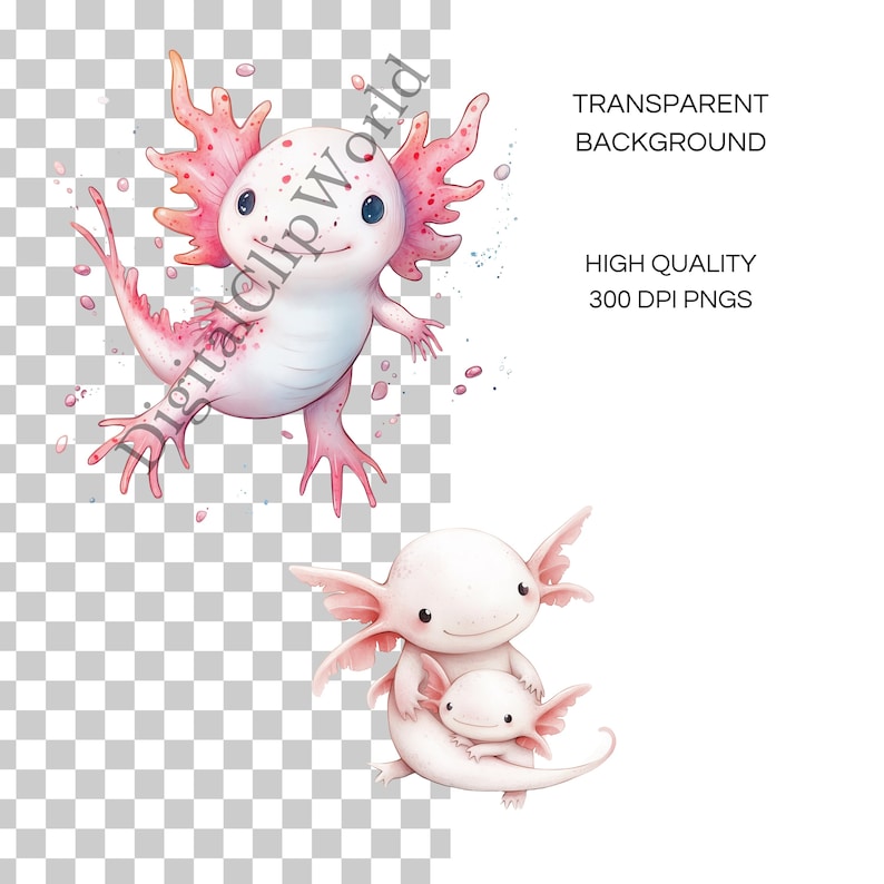 Cute Axolotl Clipart | Watercolor Axolotl | Axolotl PNG | Kawaii ...
