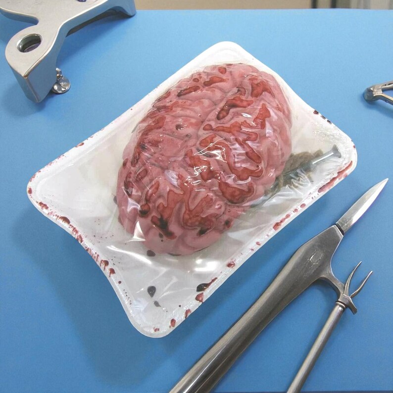 Life Size Bloody Brain Butcher Tray – Fake Human Organ Zombie Prop ...