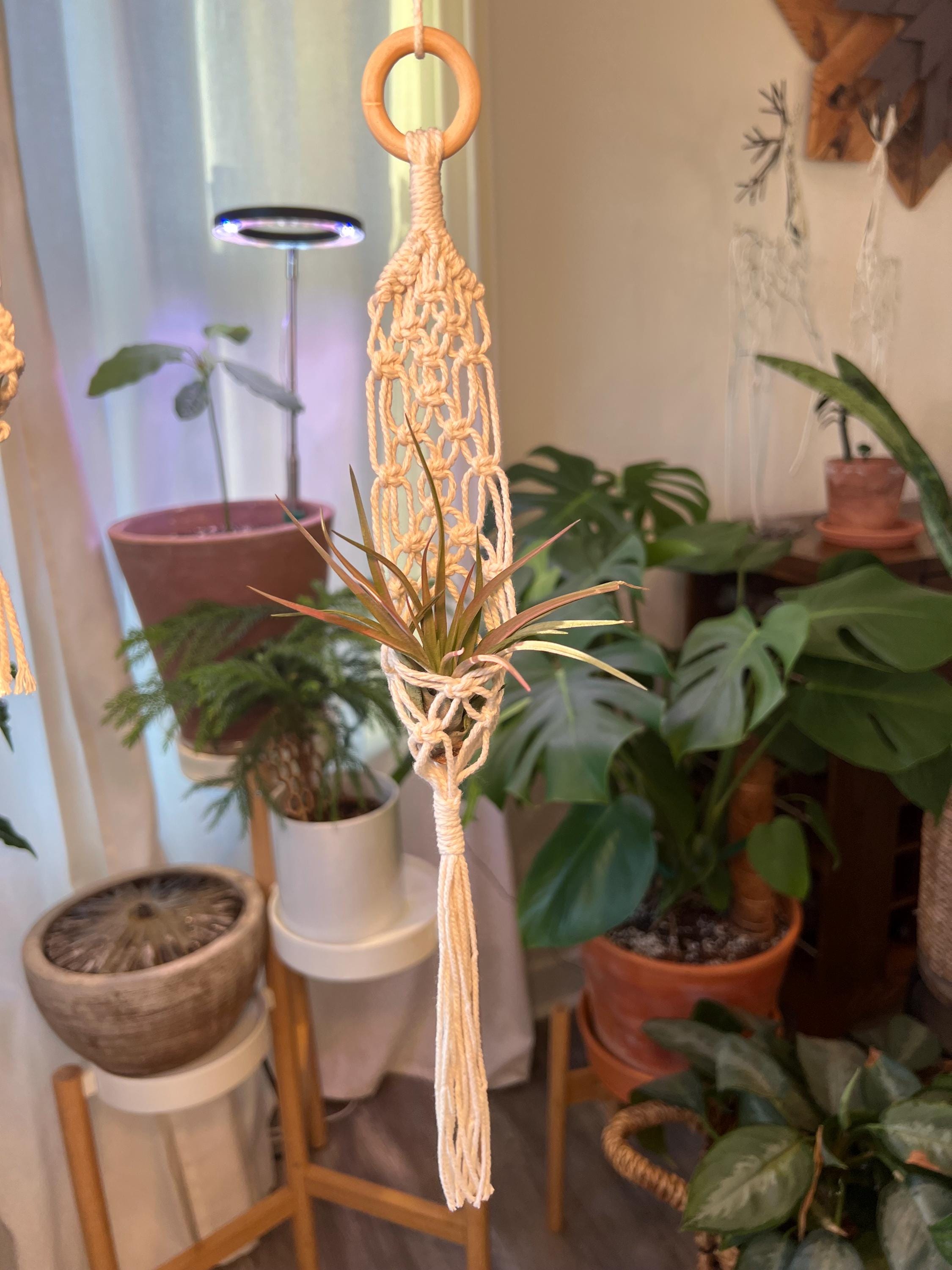 The Mini Series - Etsy