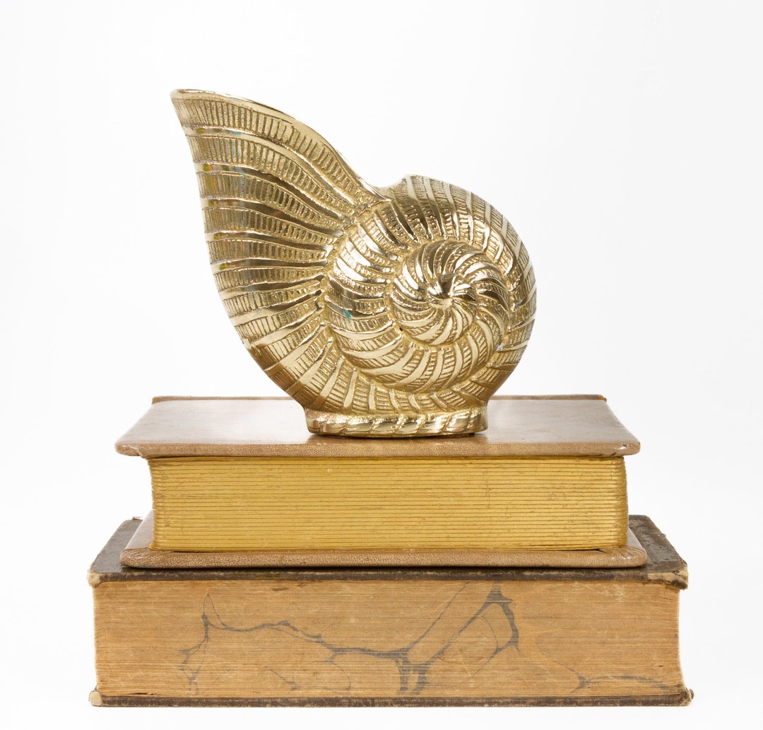 Vintage Brass Nautilus Shell, Nautical Display, Ocean Theme Decor ...
