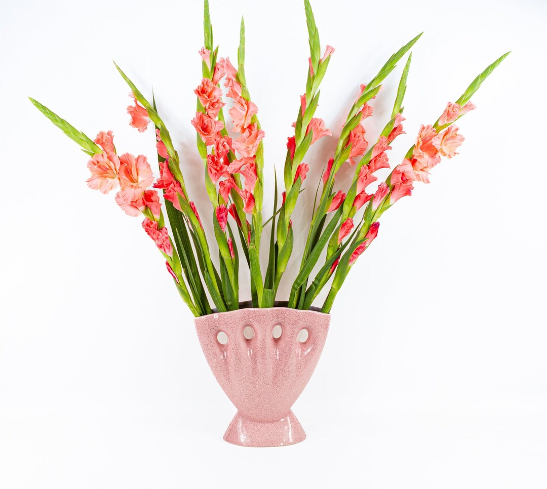 Pink Red Wing Gladiolus Vase, Large Midcentury Pink Tulipiere Vase - Etsy