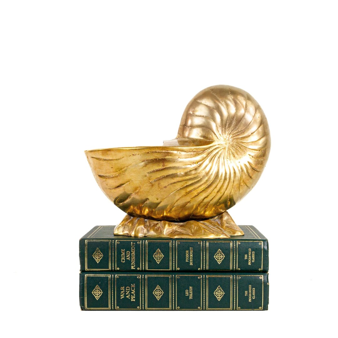 Solid Brass Nautilus Shell Decor - Coastal Elegance for Home (nautical ...