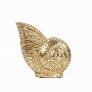 Solid Brass Nautilus Shell Figurine, Nautical Decor, Ocean Collectible ...