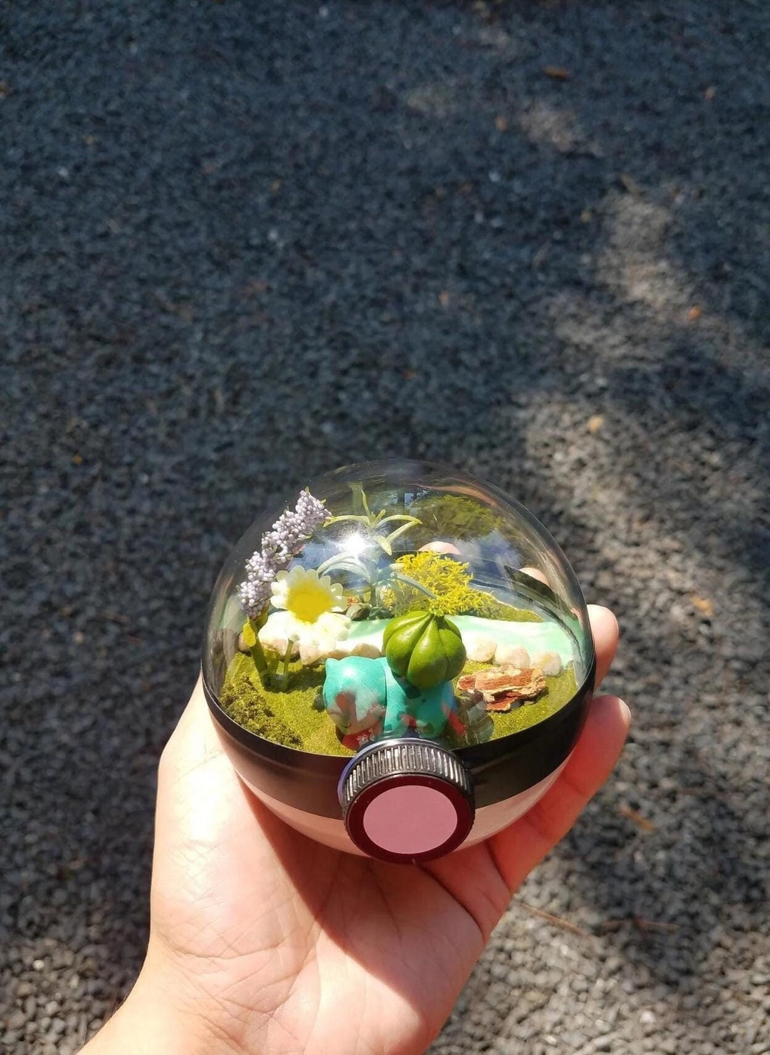 Bulbasaur Pokemon Terrarium / Pokemoncards / Pokemone Birthday Supplies ...