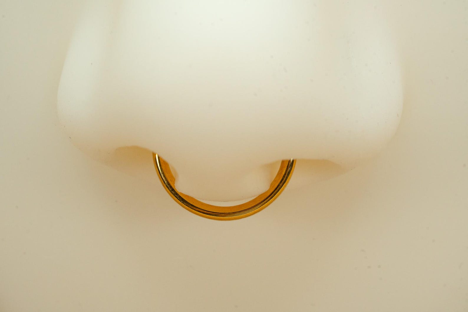 16G D Shape Hoop • Titanium Clicker Hoop • Half Circle Septum Ring ...