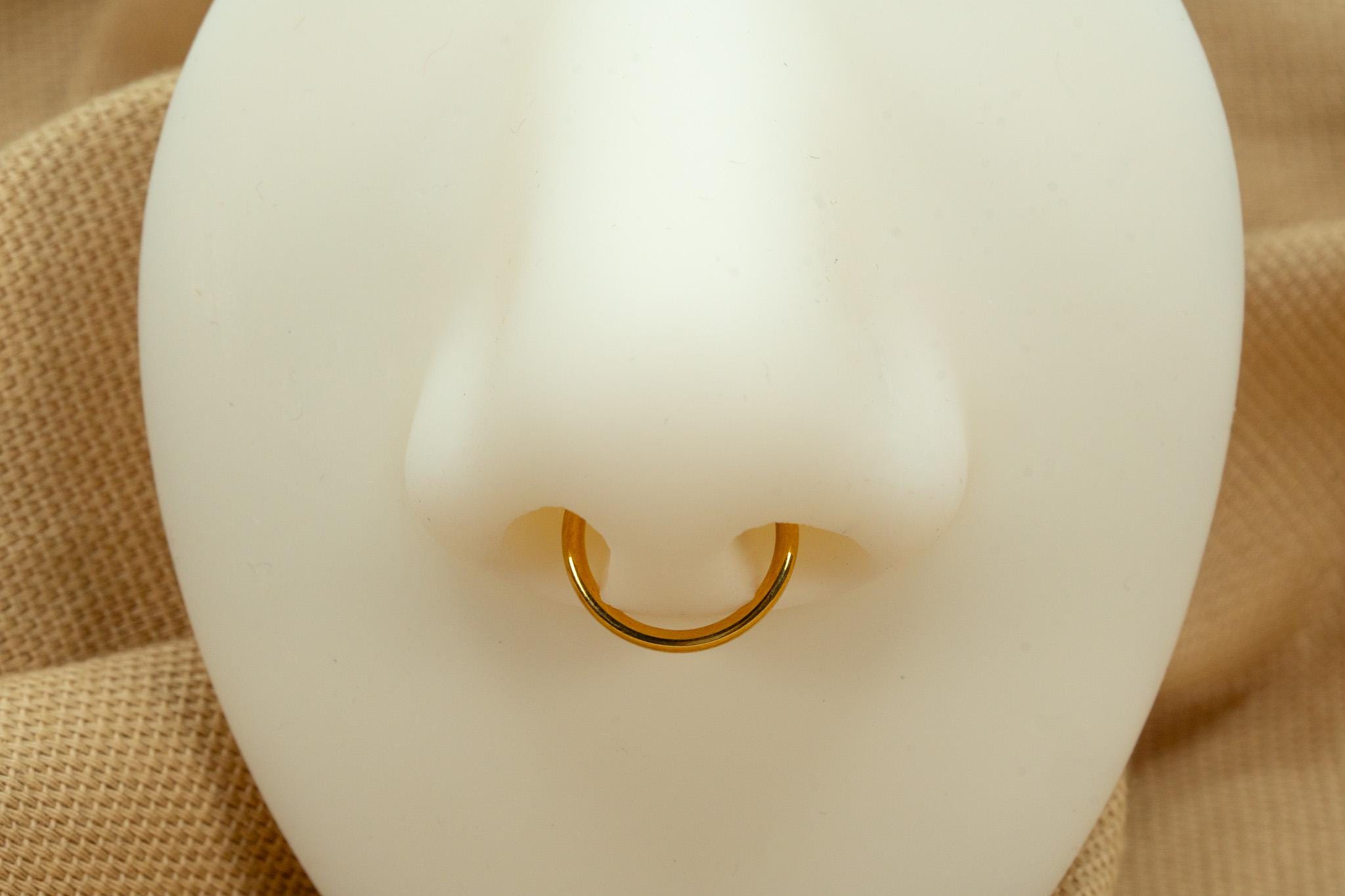 16G D Shape Hoop • Titanium Clicker Hoop • Half Circle Septum Ring ...