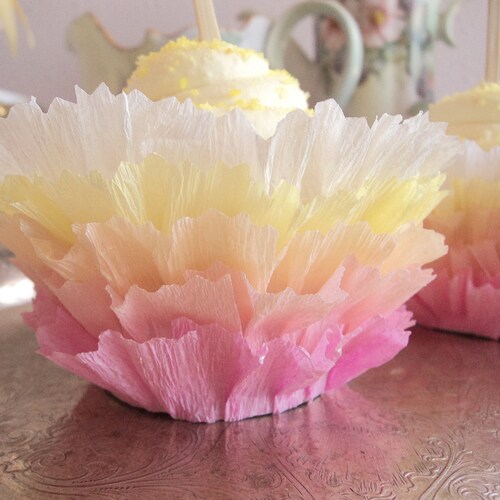 Sherbet Ruffles. Ruffled Crepe Cupcake Wrappers in Sherbet - Etsy