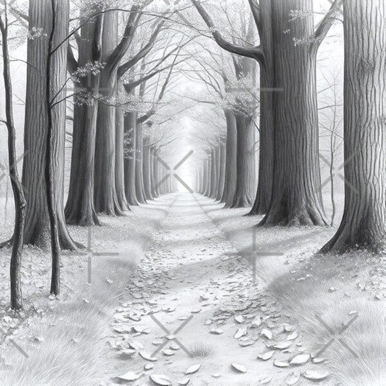 8K Image - JPG - Digital Art Print – Serene Tree-lined Path Design ...
