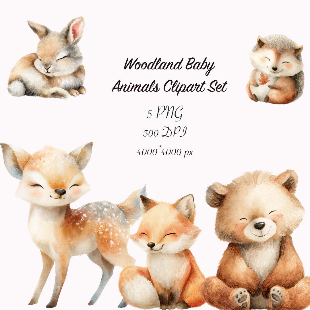 Woodland Baby Animals Clipart Set of 5 PNG – Forest Nursery Animals - Etsy