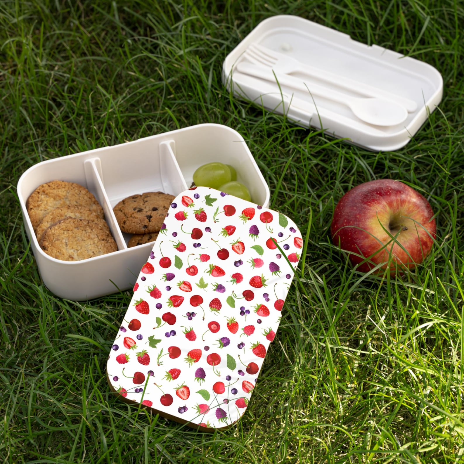 Fruit Bento Lunch Box - Healthy Meal Prep Container, Cute Lunchbox for ...