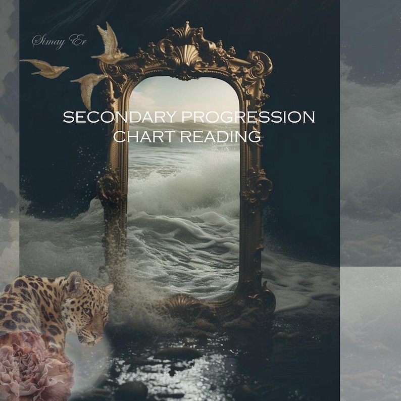 Secondary Progression Chart Reading, Astrology - Etsy
