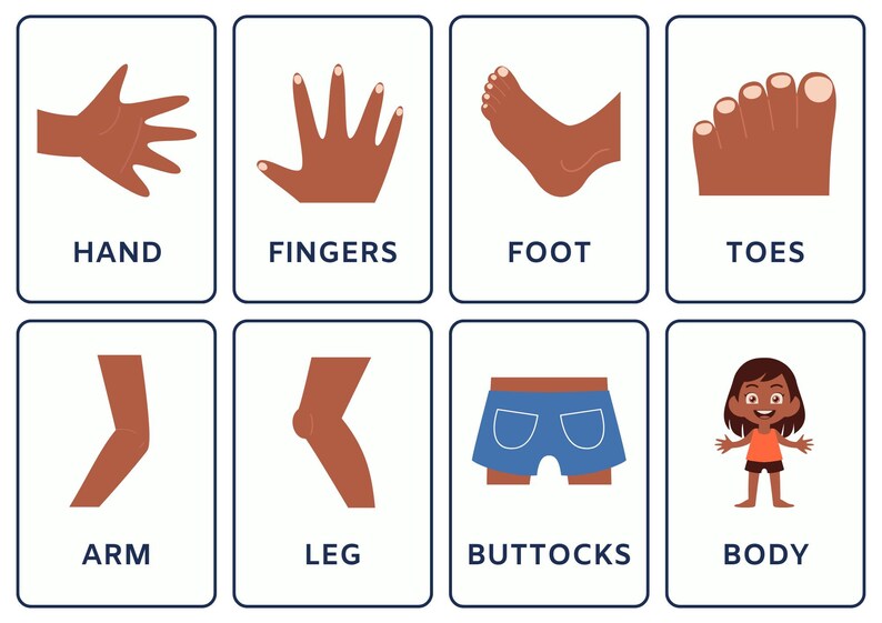 Body Parts Flashcards - Etsy