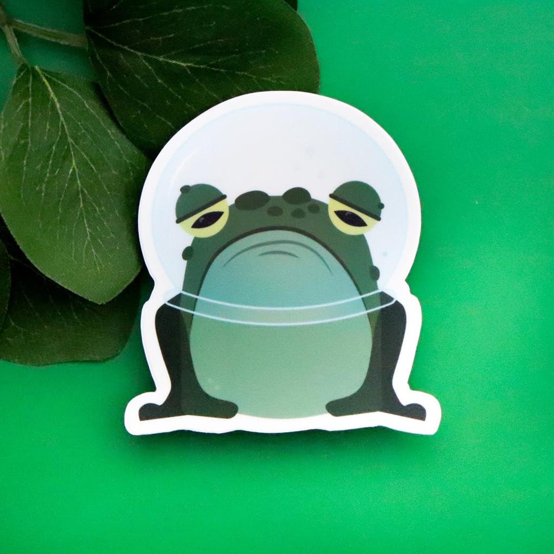 Sad Frog in Space Vinyl Sticker - Etsy