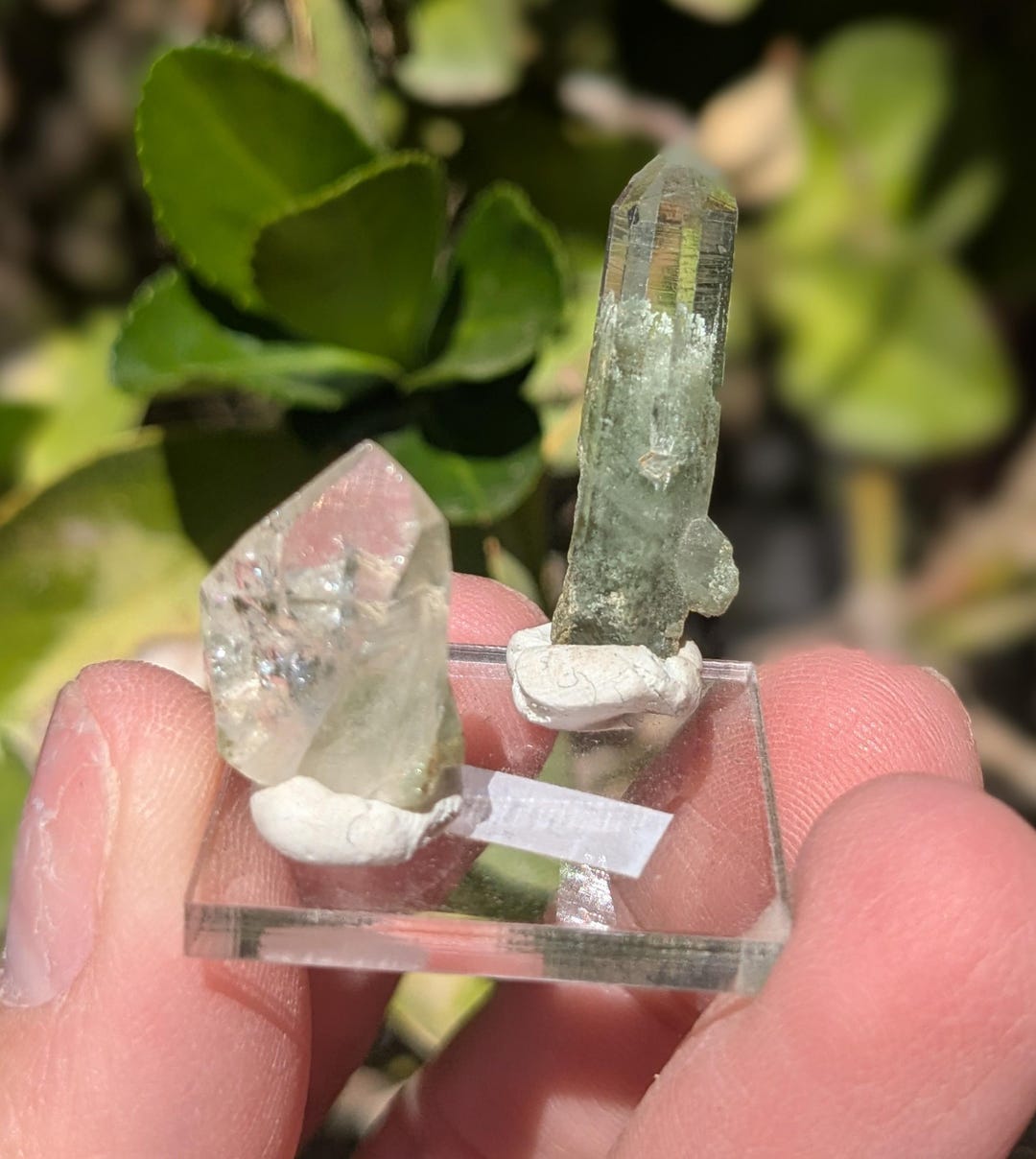 Natural Raw Chlorite Quartz Points - Etsy