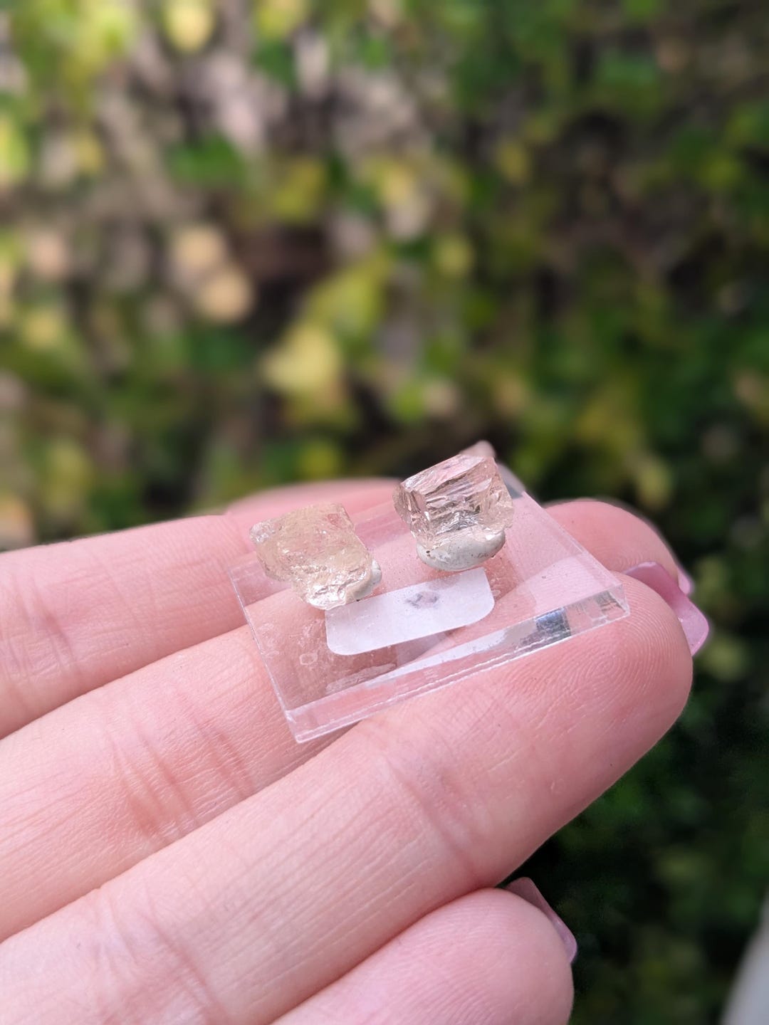 Natural Raw Katlang Topaz Crystals 2-piece Set - Etsy