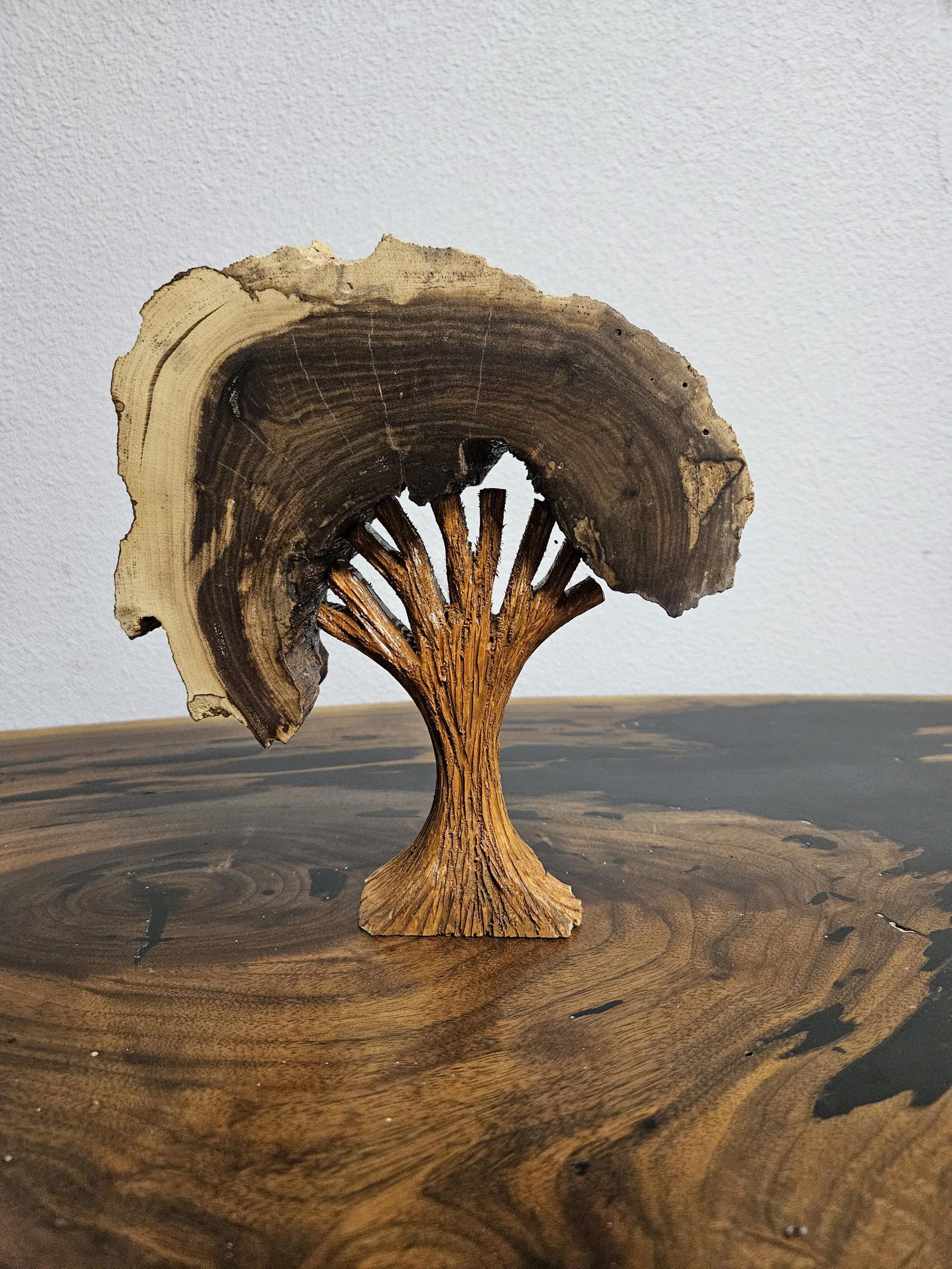 Small Tree Built From Live Wood Semicircle - Etsy
